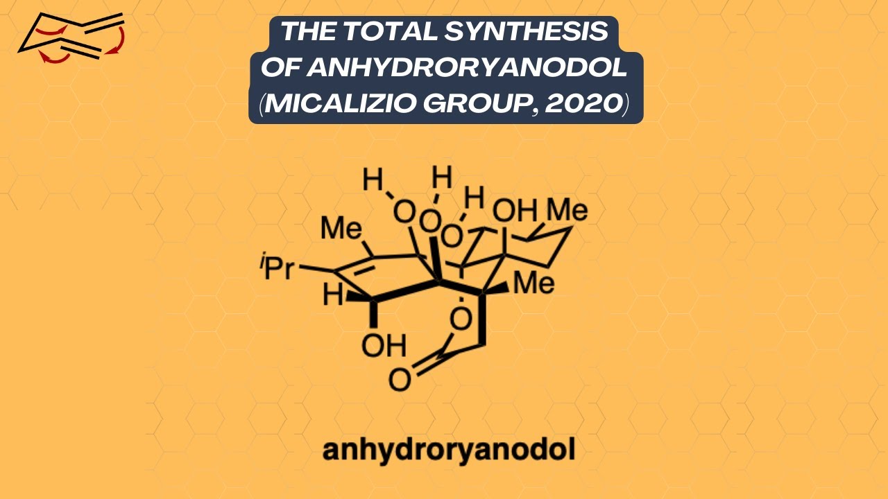 Synthesis Workshop: Synthesis of Anhydroryanodol (Episode 38) - YouTube