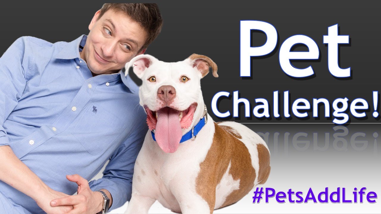 Why do you Love your Pet? Challenge! #PetsAddLife - YouTube