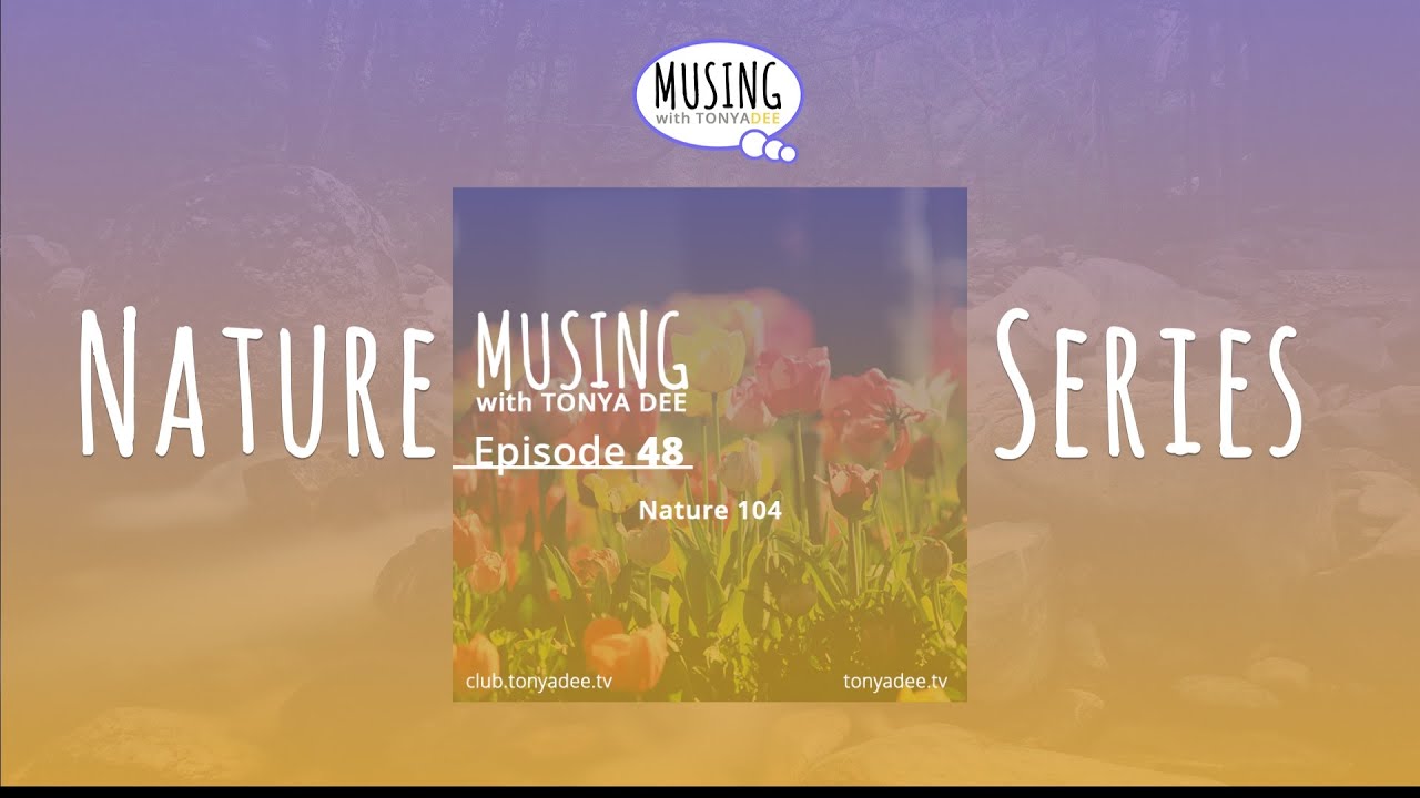 Nature Series: Nature 104 - YouTube