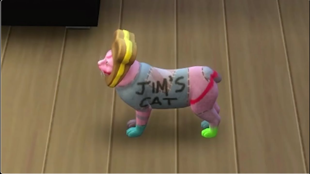 Kevin's pets - YouTube