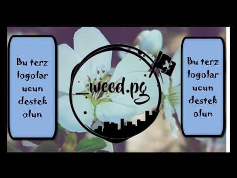 Şəkil üzərinə visualizer qoymaq telefonla