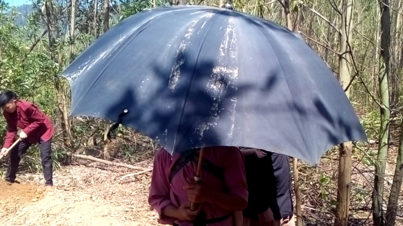 Tib neeg tuag(2) - YouTube