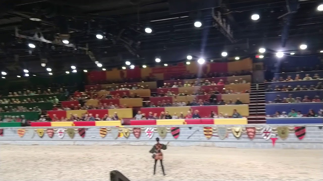 Medieval times falcon. - YouTube