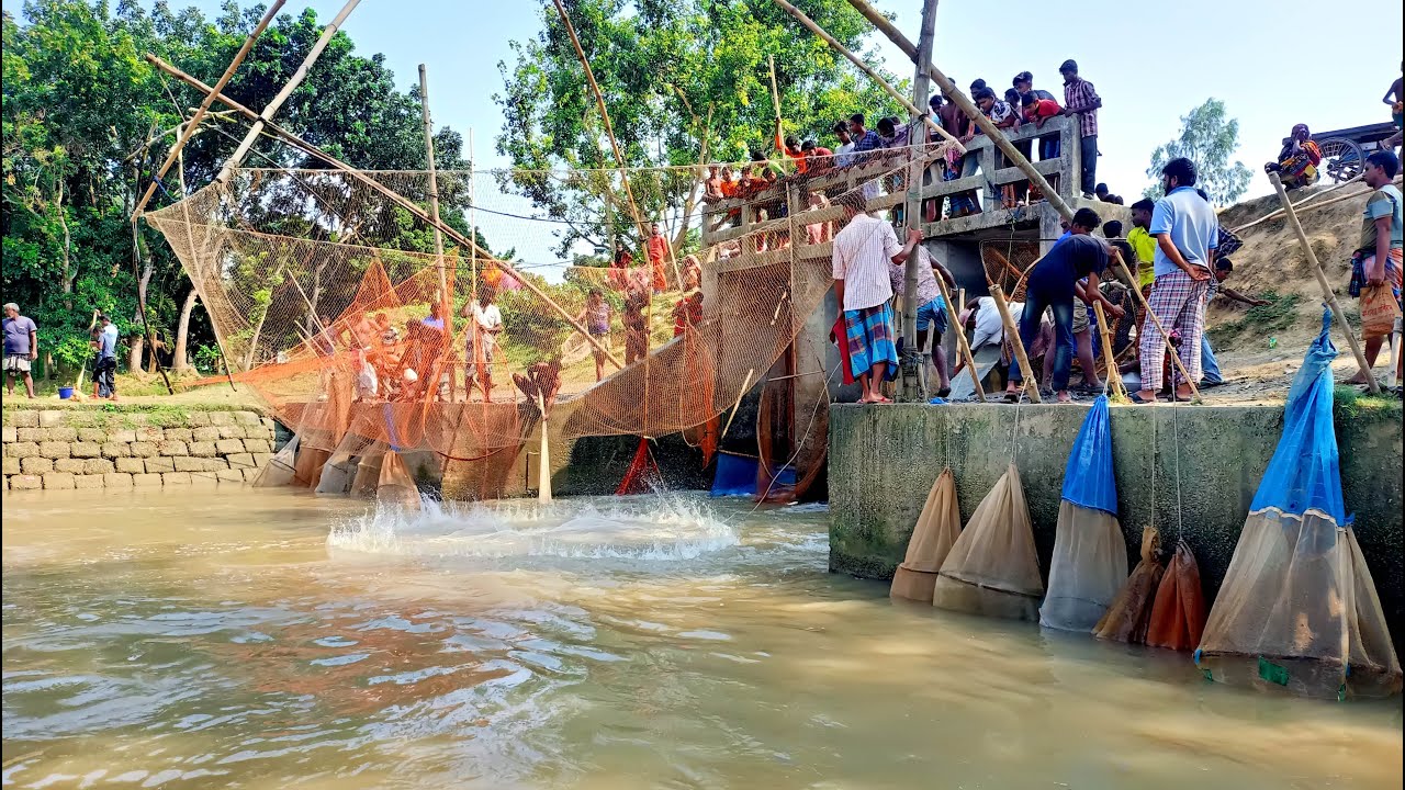 ছোট জালে বড় মাছ ।। আসলেই অসাধারণ ।। People are catching big fish by ...