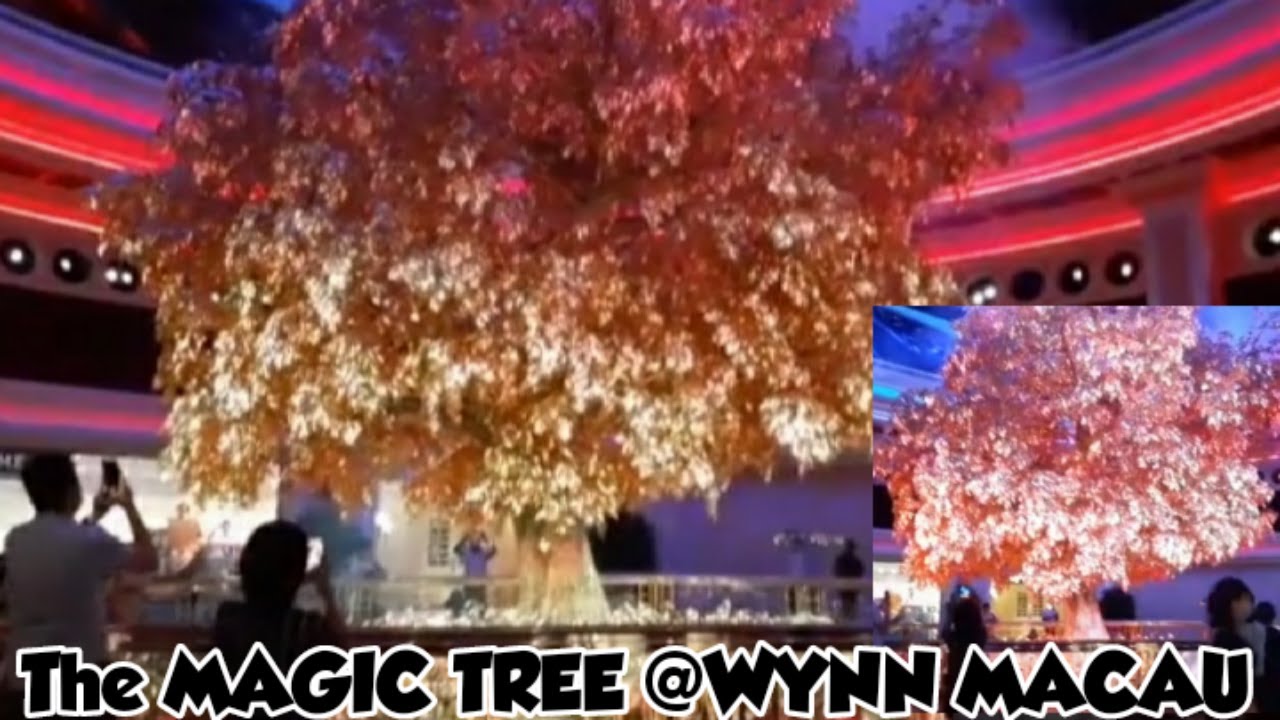 Magic Tree @WynnMacau | Amae Reign - YouTube