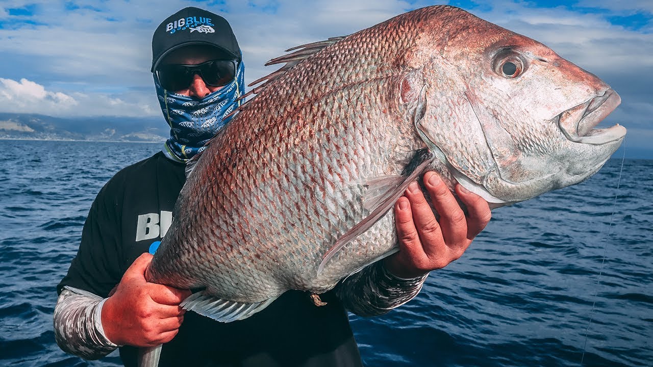 How to break down and use a whole Snapper "don't waste it!!!" - YouTube