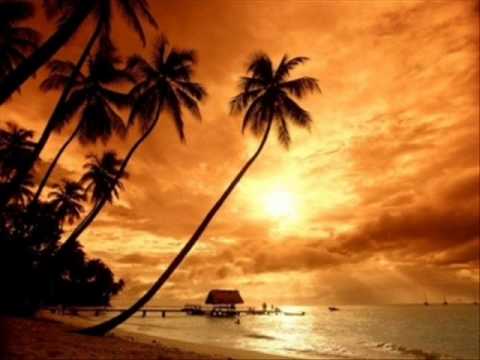 YVES LAROCK - SAY YEAH 2008