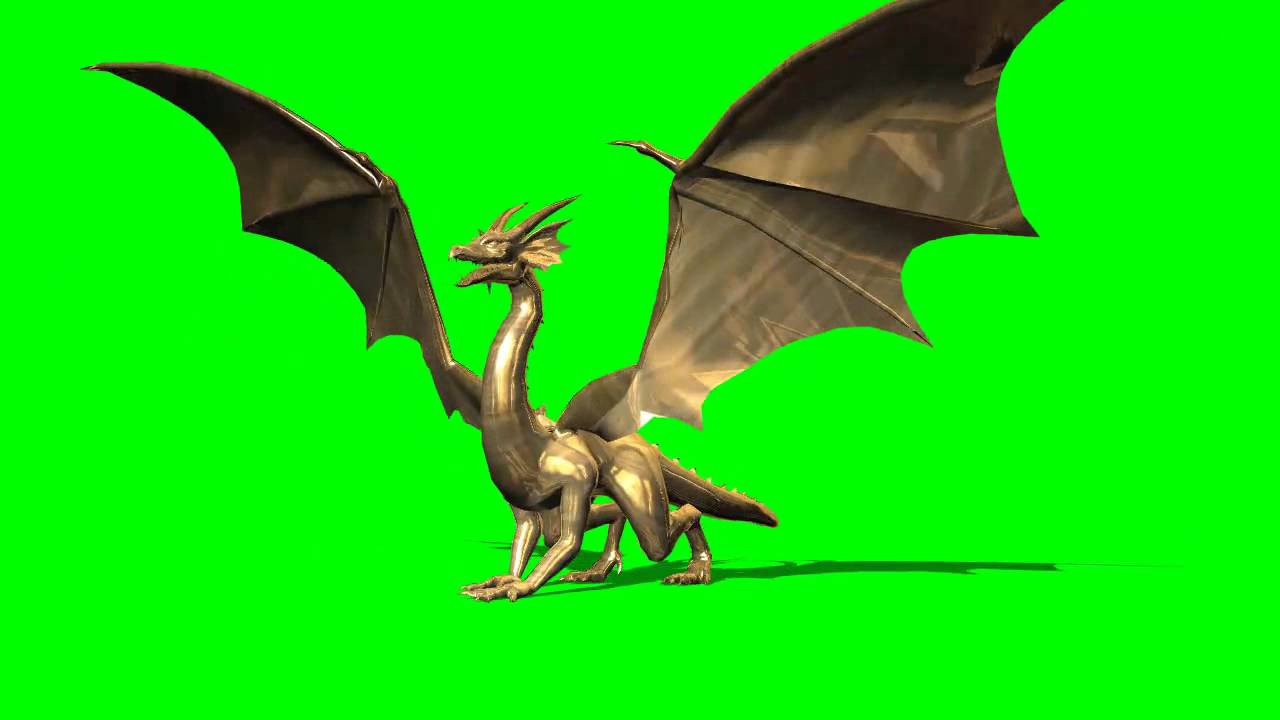 golden dragon with different movements - greenscreen effects - free use ...