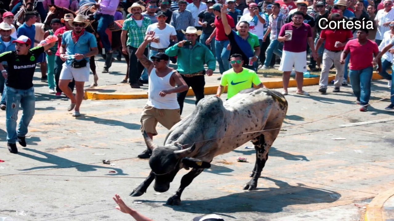 Columna Hora cero Embalse de toros, acto de barbarie - YouTube