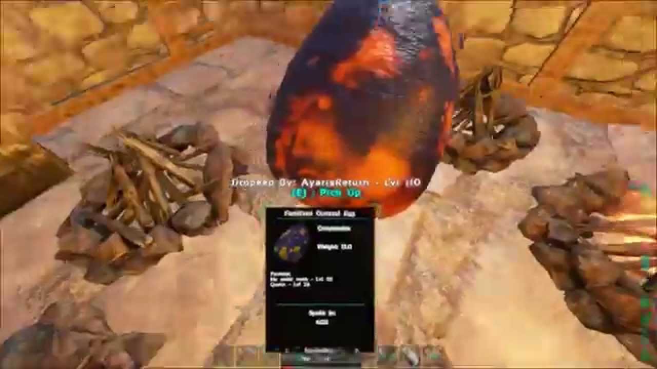 Ark: Survival Evolved | Tutorial | Crianza | Huevos de Aves | #2 - YouTube