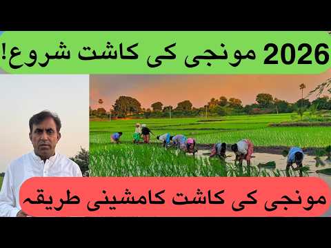 Monji ki double fesal lyna k sahi time