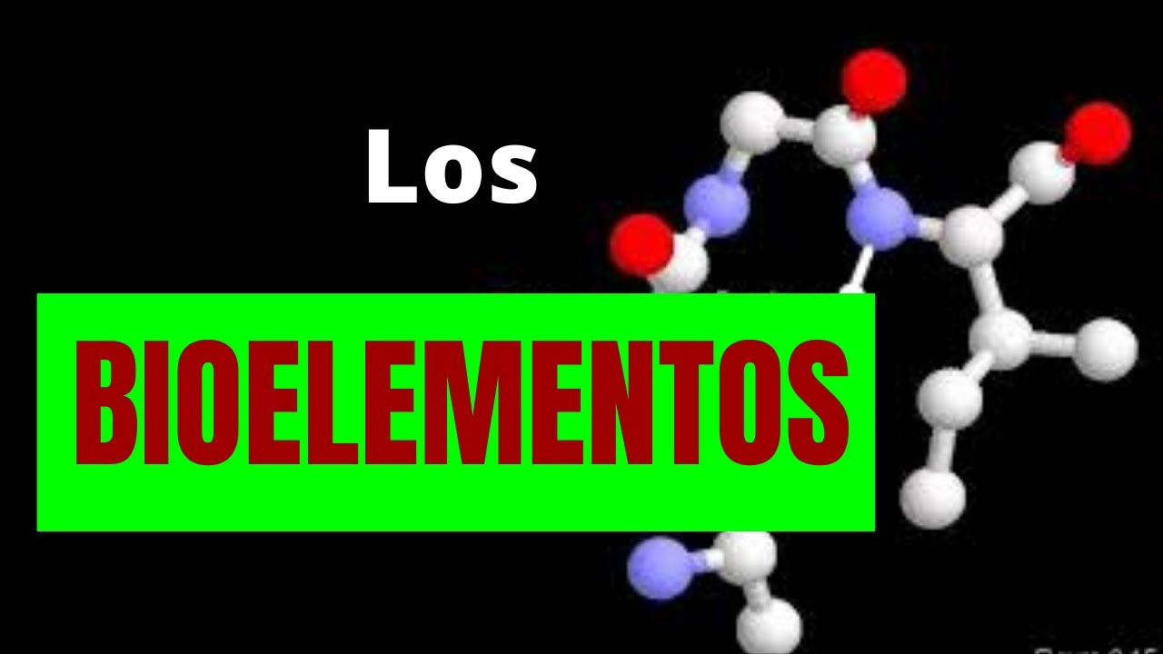 LOS BIOELEMENTOS - YouTube