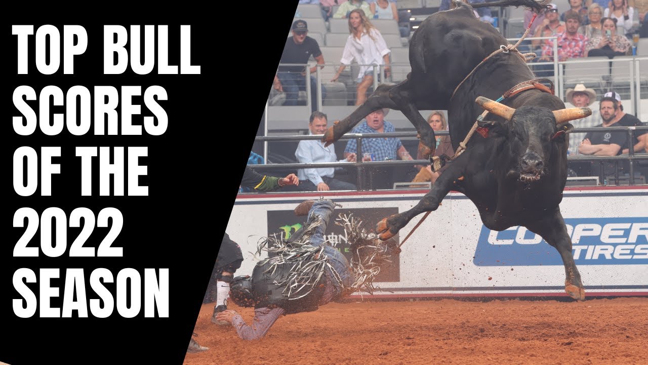 Bull Power with a Capital B!! 💪 - YouTube