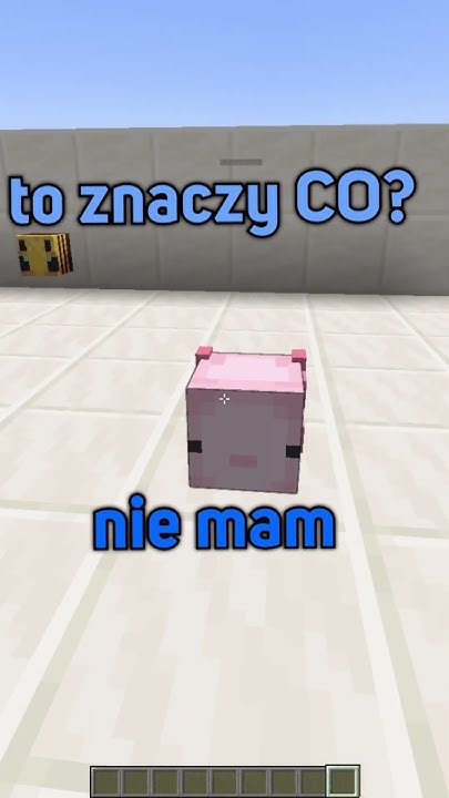 Minecraft Ale Zgadnij Jakim Mobem Jestem Youtube