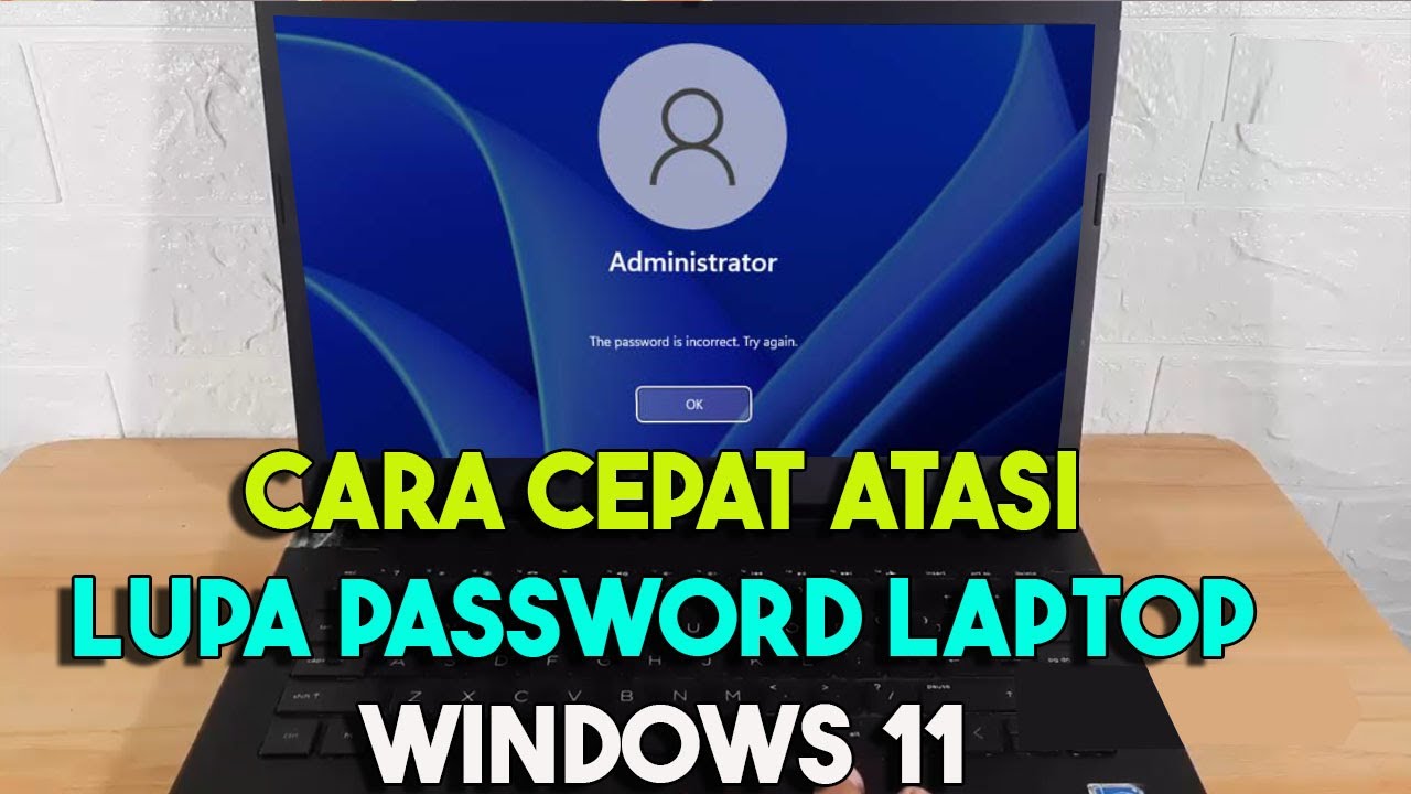 Cara Mengatasi Lupa Password Windows 11 (Cepat & Mudah) - YouTube