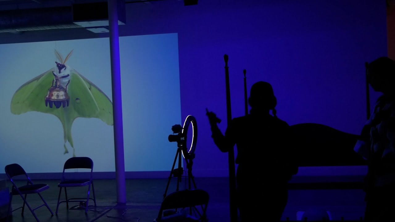 The Austin Studio Tour Celebrates Its 30th Anniversary - YouTube