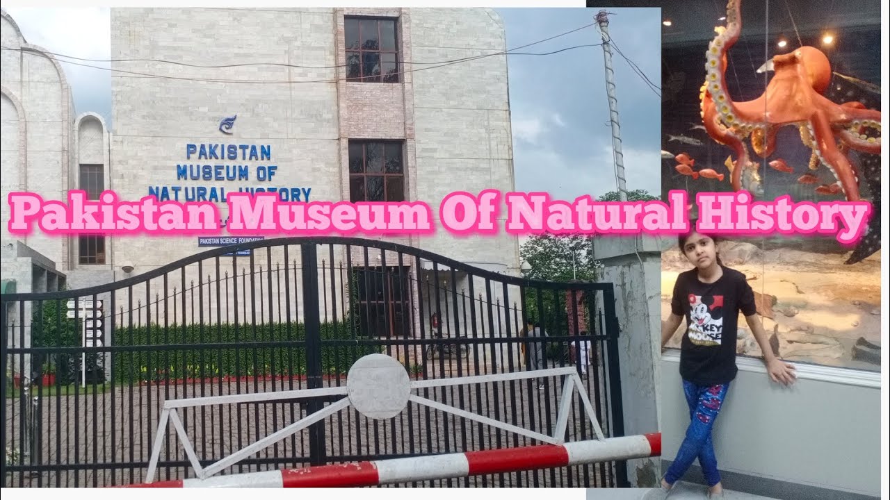 Visit Pakistan Museum Of Natural History In Islamabad part 1 - YouTube