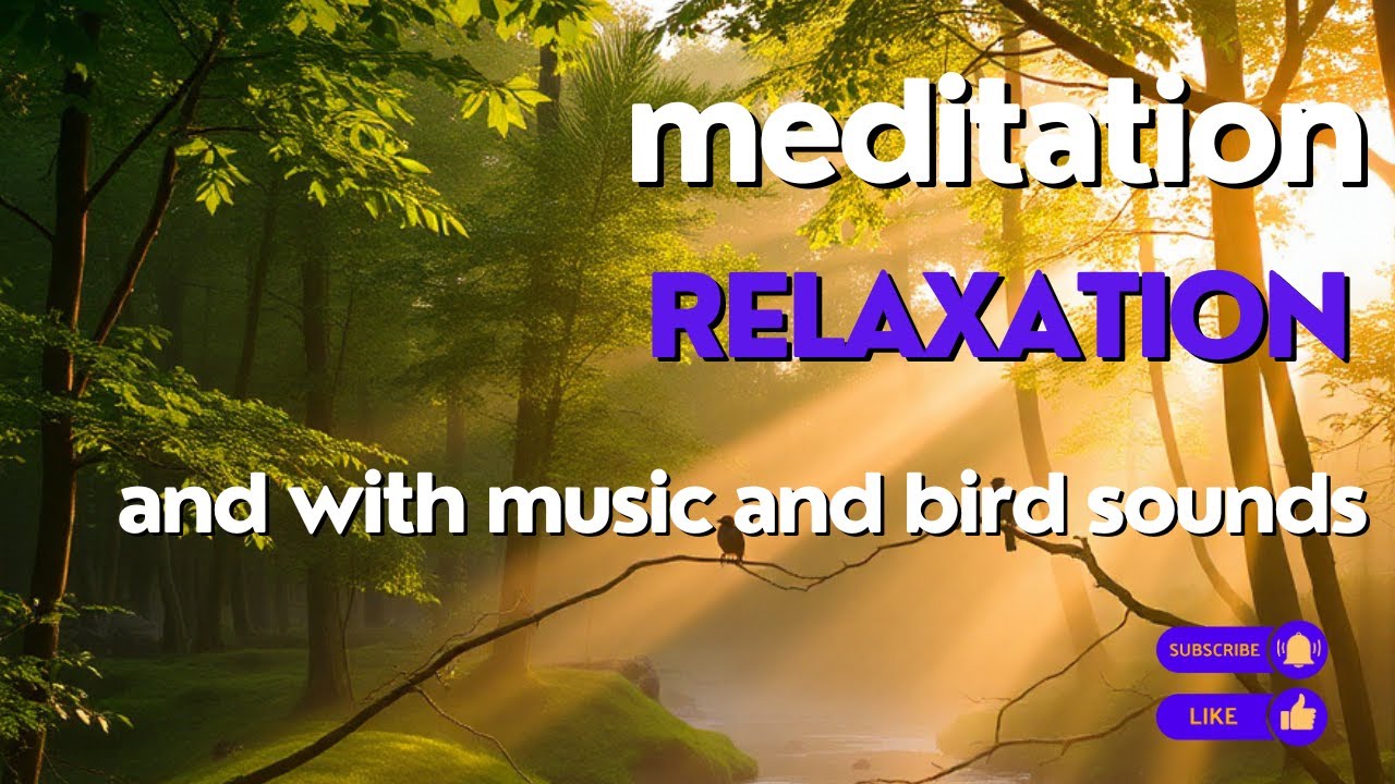 Meditation, Relaxation with music and bird sounds - YouTube