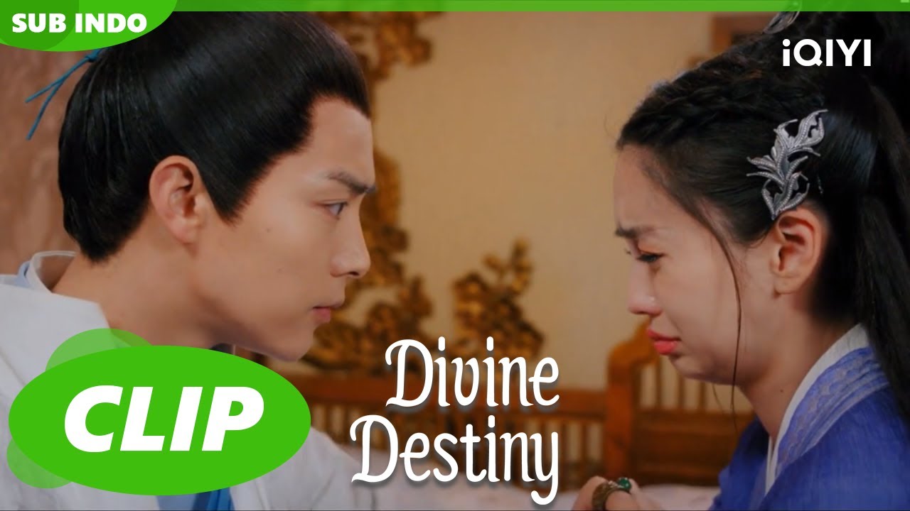 Zhang Yinyin mabuk dan menangis | Divine Destiny | CLIP | EP8 | iQIYI Indonesia - YouTube