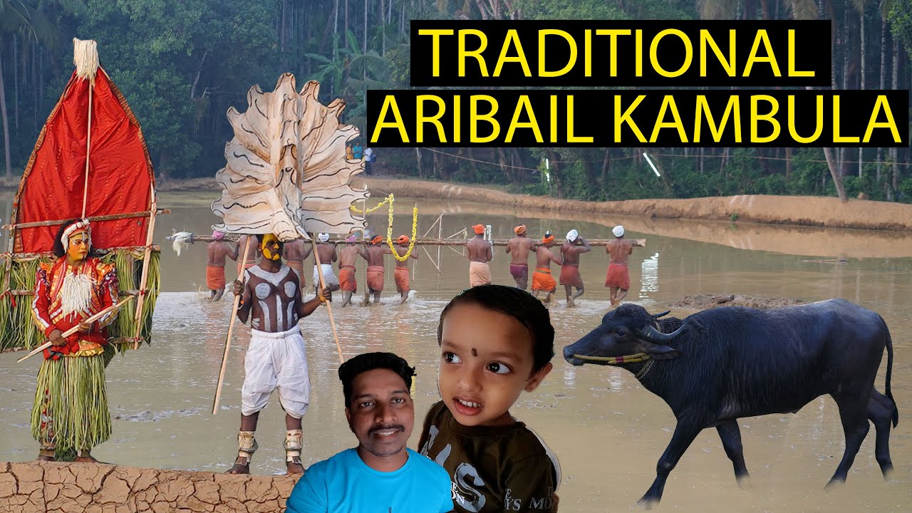 Kantaradalli nodida Kambula | Traditional Aribail Kambula| #tuluvlog # ...