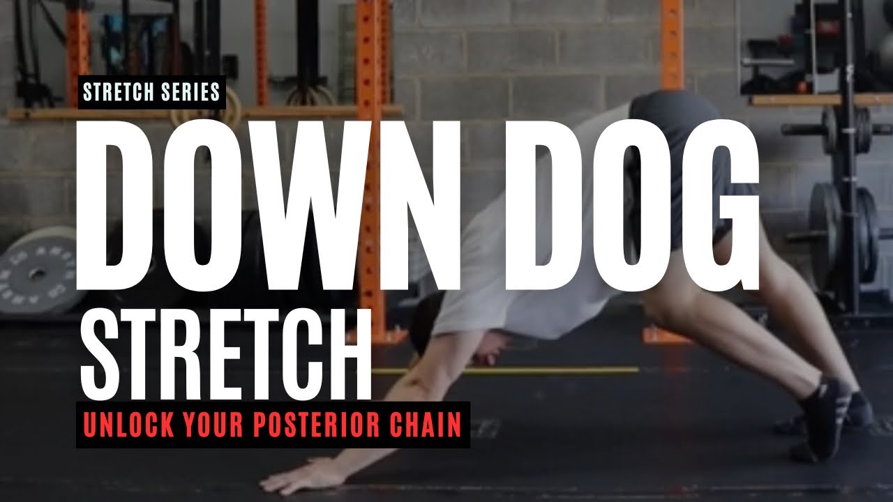 Down Dog Hamstring Stretch: Unlock Your Posterior Chain After Long Days ...