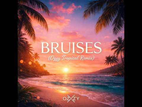 Bruises (ImOzzy Tropical Remix)