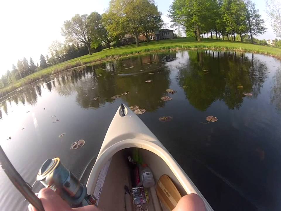 Largemouth Bass - Topwater Explosion - YouTube