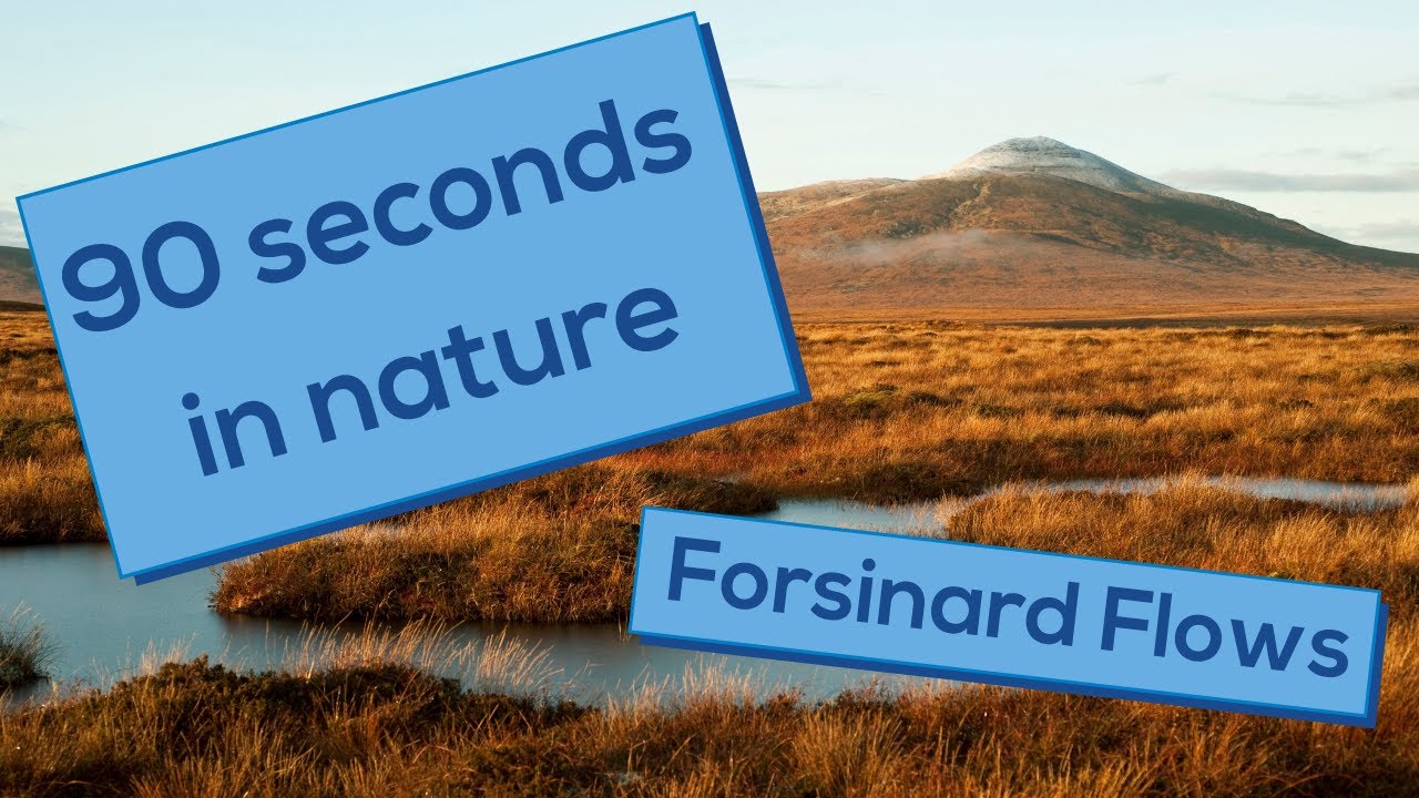 Forsinard Flows | 90 seconds in nature - YouTube