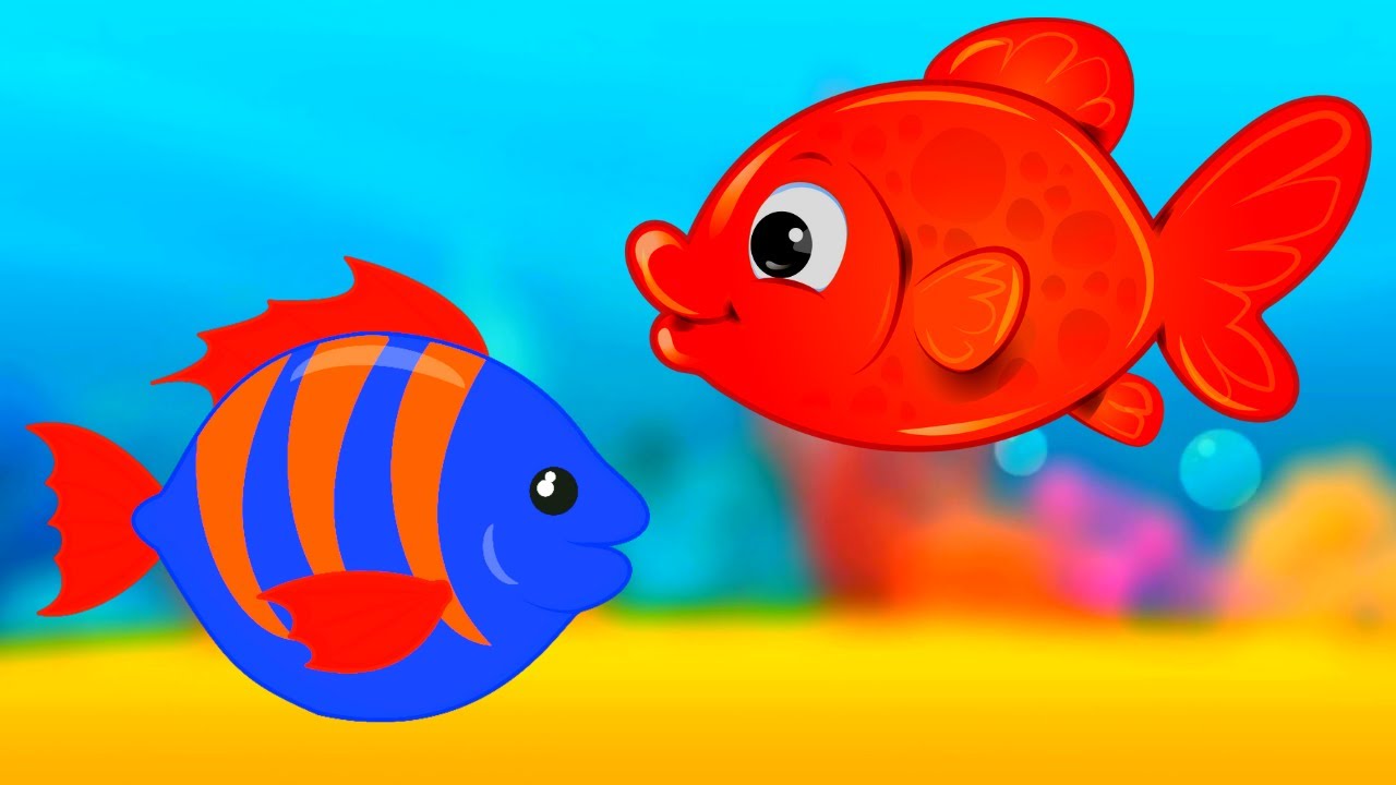 Fish Song + More Nursery Rhymes & Kids Songs - YouTube