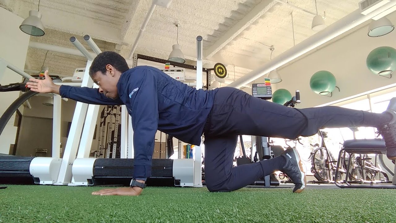 Fitness Education: The Bird Dog Core Training Exercise - YouTube