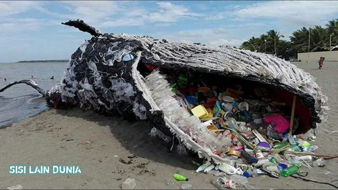 MENYEDIHKAN ! Kisah Tragis Hewan Laut yang Terdampak Sampah Plastik ...