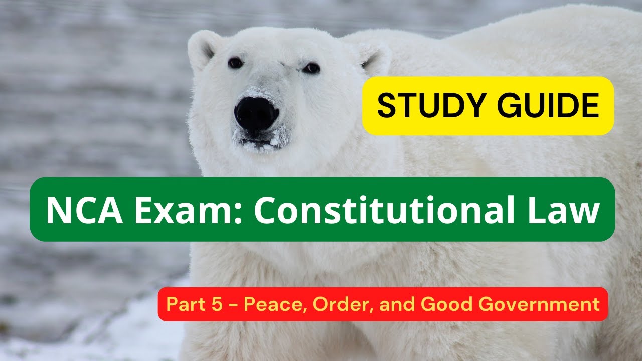 NCA Exam: Constitutional Law | Part 5 | Peace, Order, and Good ...