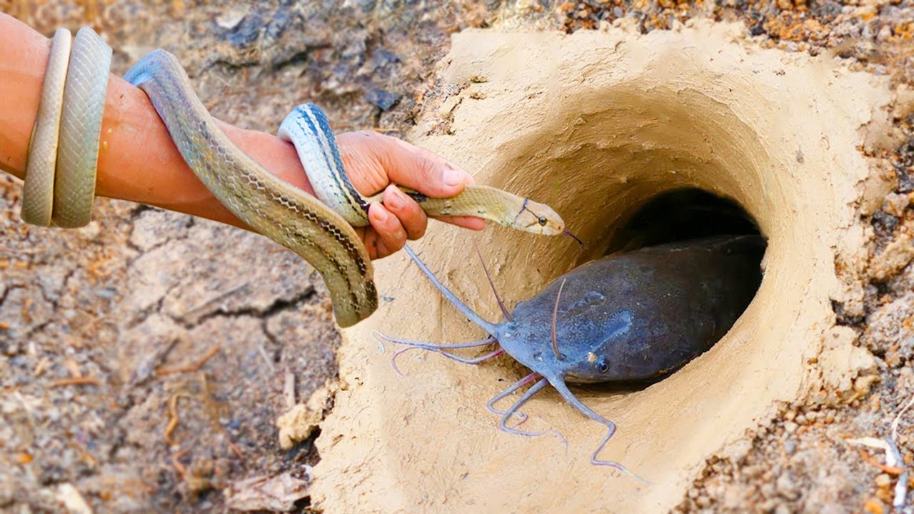 Unbelievable Fishing Technique - Use A Snake To Catch Fish In A Pit ...