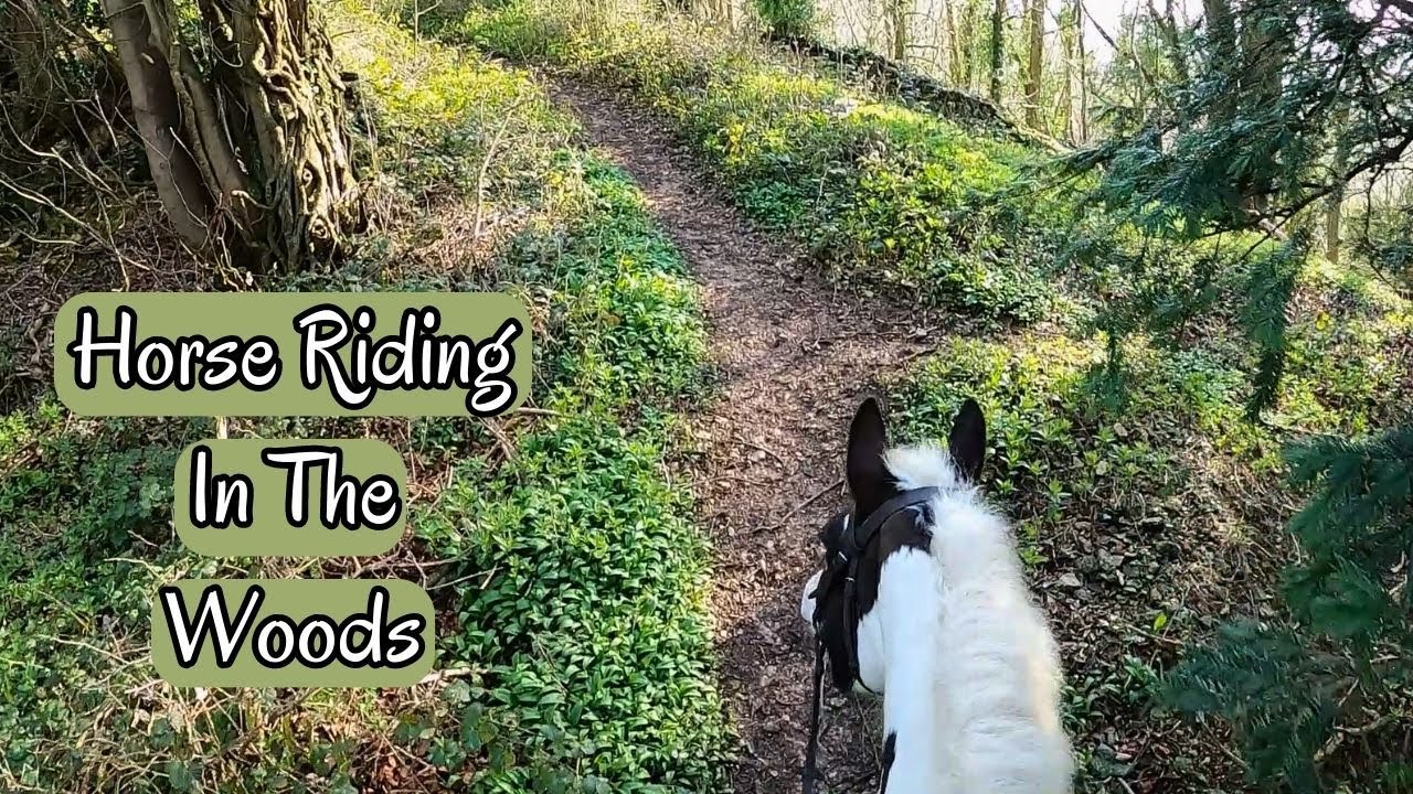 POV Horse Riding In The Woods / Relaxing Go-Pro Ride With Me - YouTube