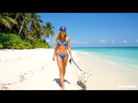 Bikini Model Walking The Beach With Goat (djfitness1)