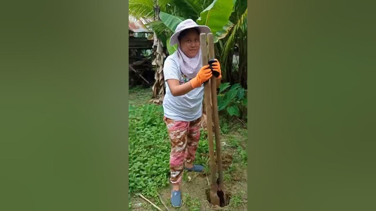 NSTP-CWTS (TREE PLANTING) - YouTube