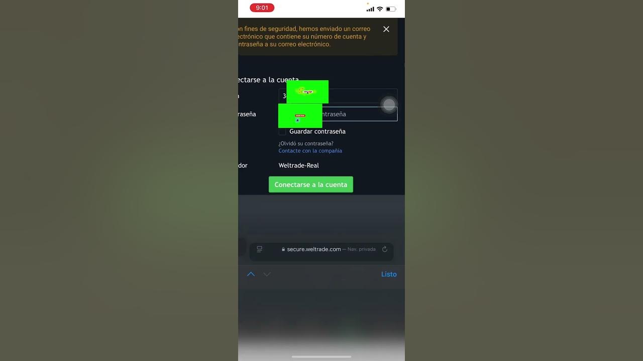 🚨Como mirar la gráfica de los nuevos índices en Weltrade 🚨 - YouTube