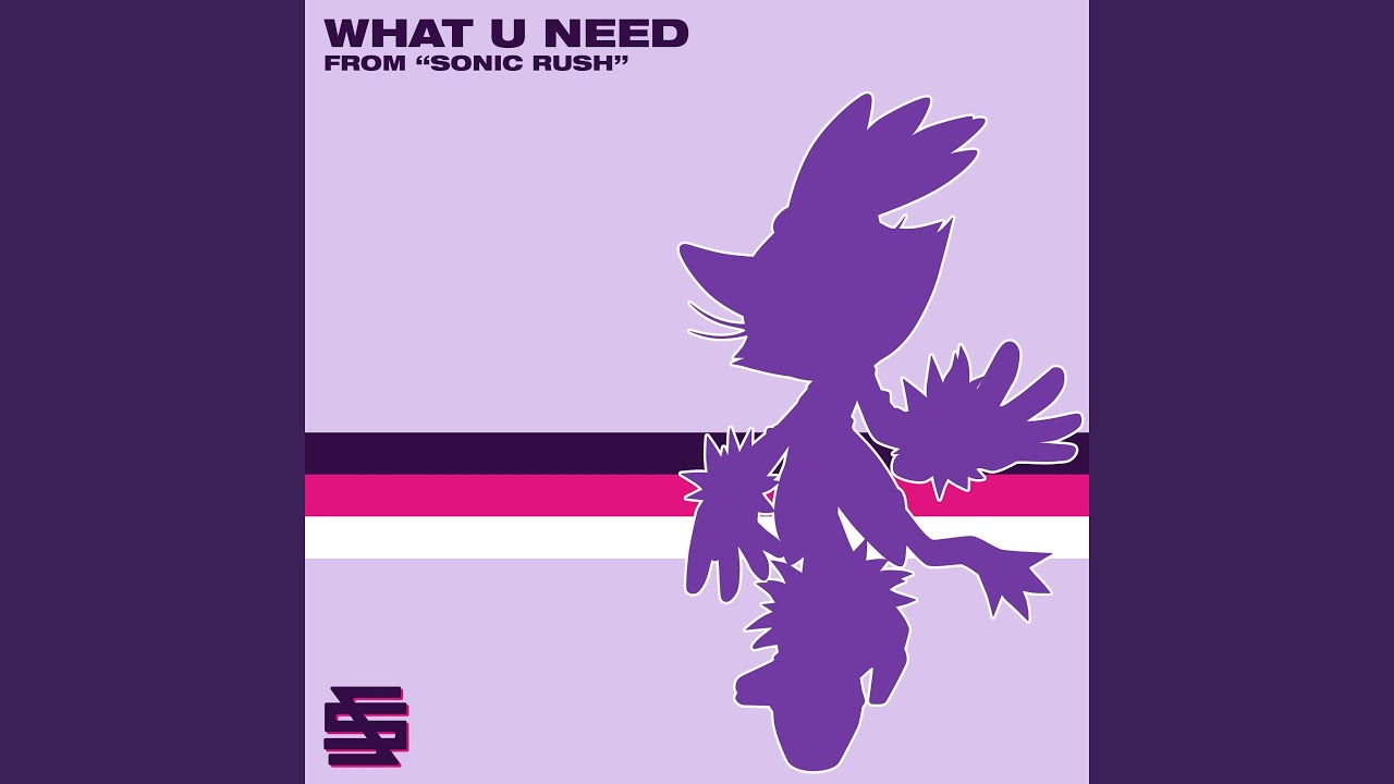 What U Need (From "Sonic Rush") - YouTube