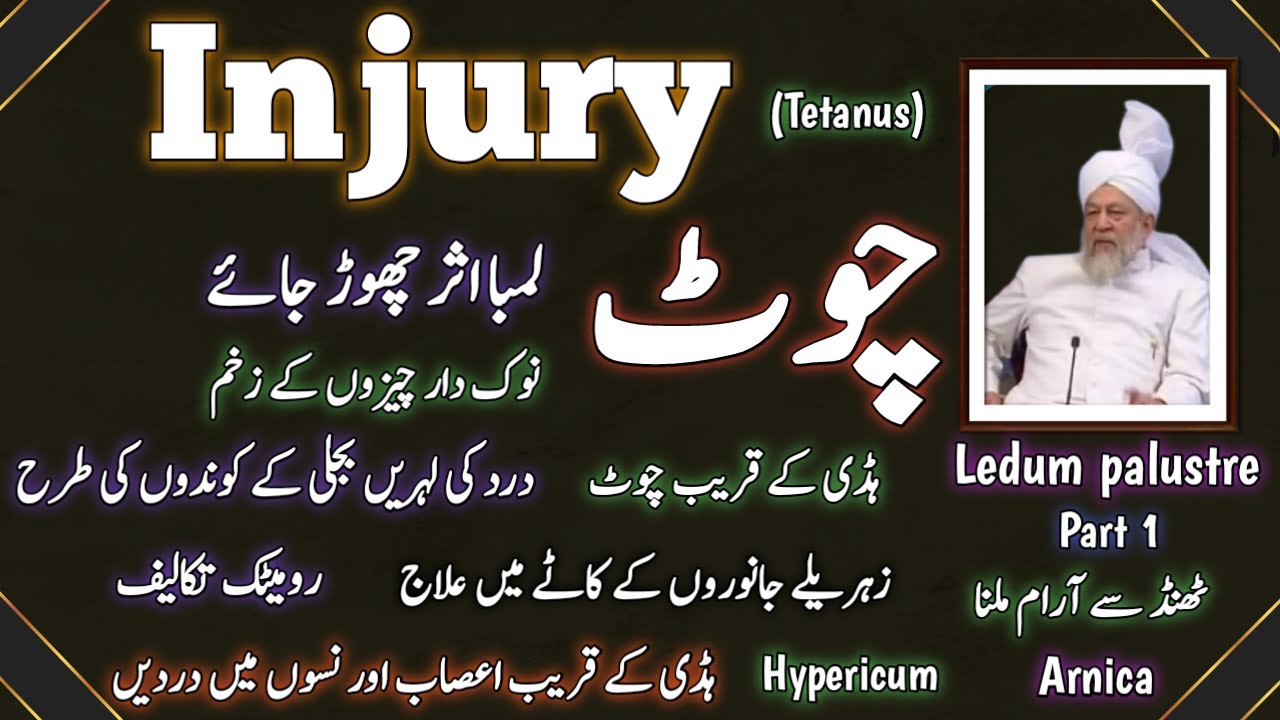 Injury | Rheumatic pains | tetanus | Homeopathic ledum pal | Hypericum ...