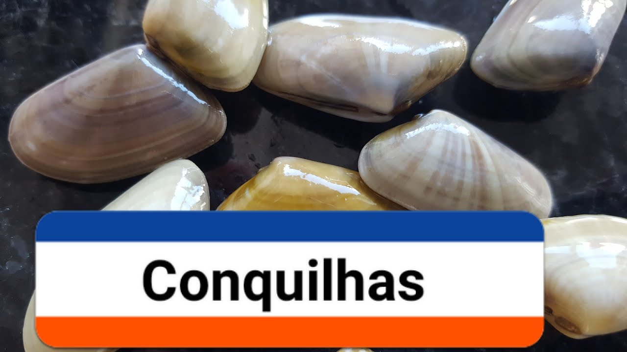 Como preparar conquilhas - YouTube