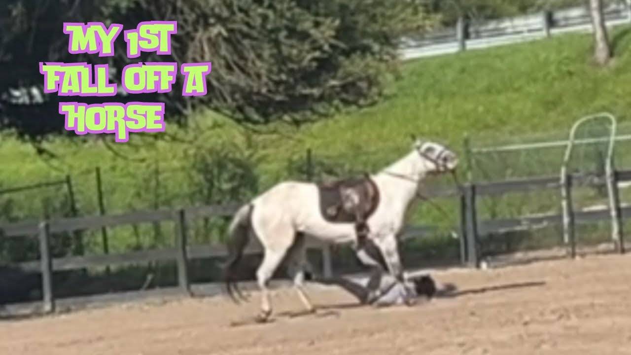 My First Fall Off a Horse | Equestrian Experience & Lessons Learned ...