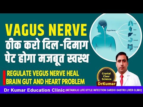 Vagus Nerveठीक करो दिल -दिमाग- पेट होगा मजबूत स्वस्थ//REGULATE VEGUS NERVE HEAL BRAIN GUT AND HEART