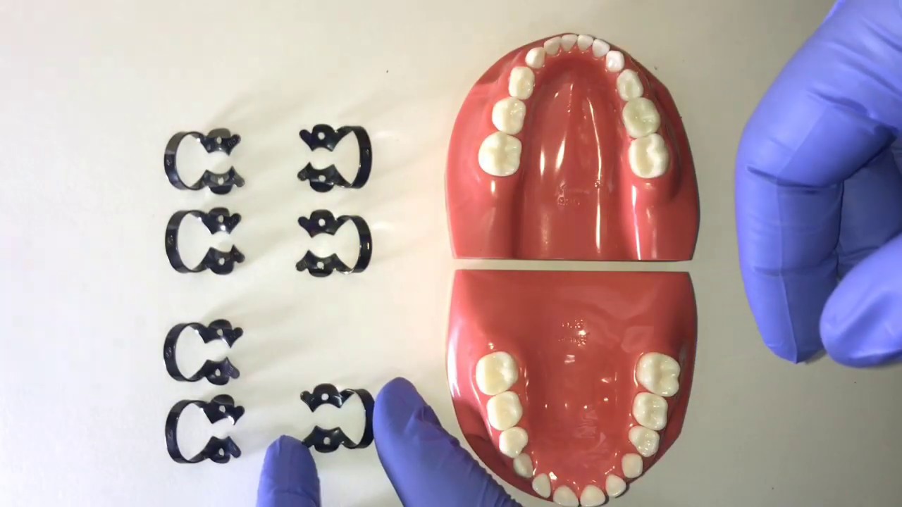 Isolation in pedodontics | rubber dam clamps | rubber dam in ...