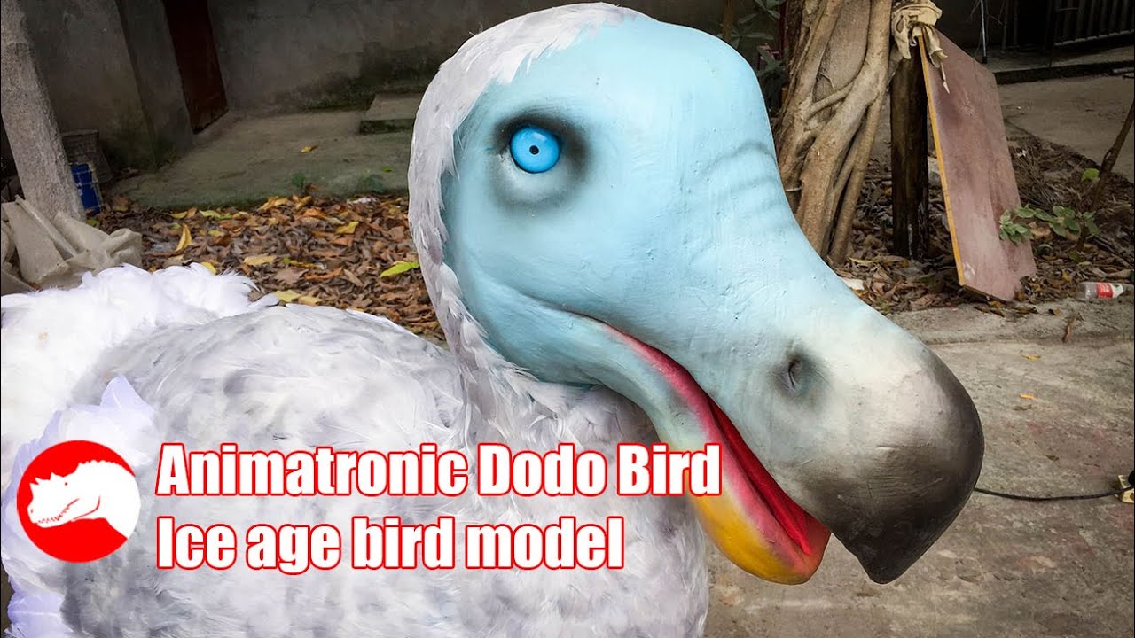 Ice Age Dodo Bird Model, Robotic Animal for Sale - YouTube