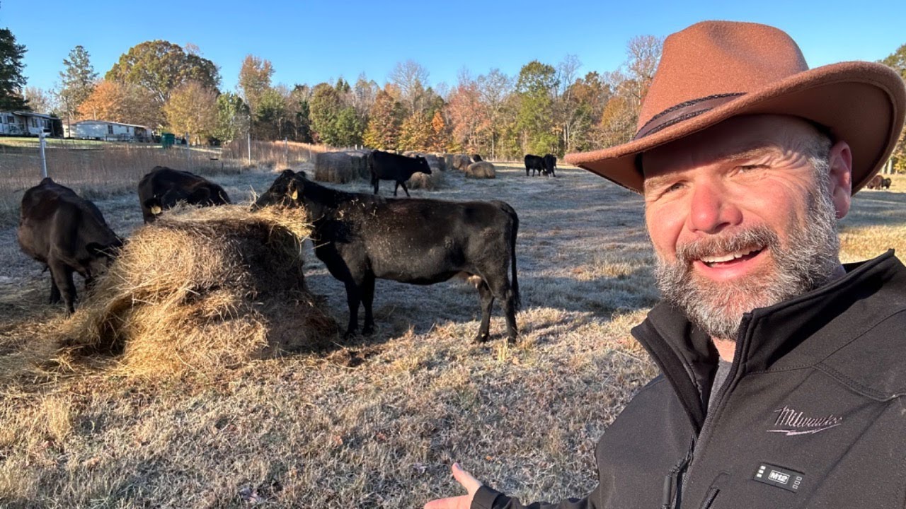🔴 live now Farm life just got a little tougher - YouTube