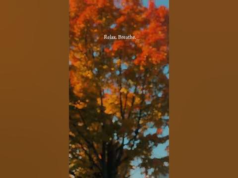 A Beautiful Fall Day - YouTube