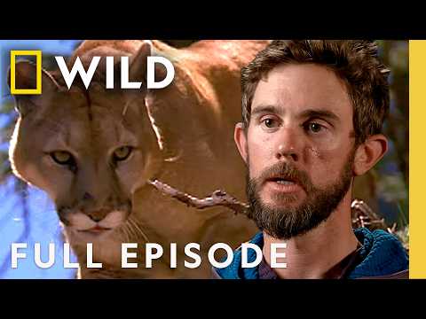 Running For Your Life (Full Episode) | Hunter vs. Hunted | Nat Geo Animals