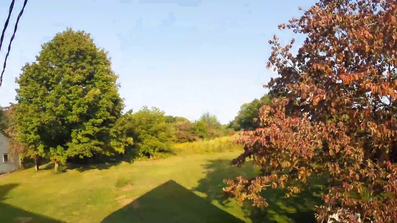1 Year Time Lapse - YouTube