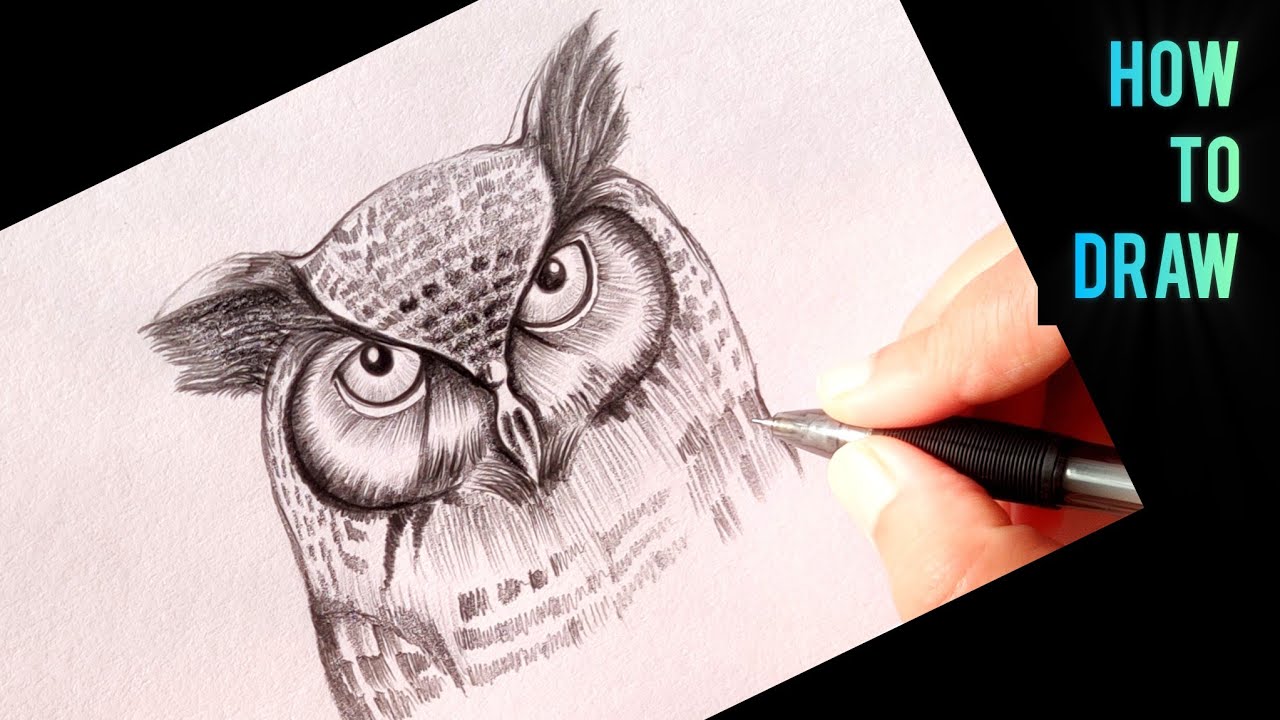 🦉 How to Draw a Realistic Owl || Easy Pencil Sketch || Step-by-Step ...