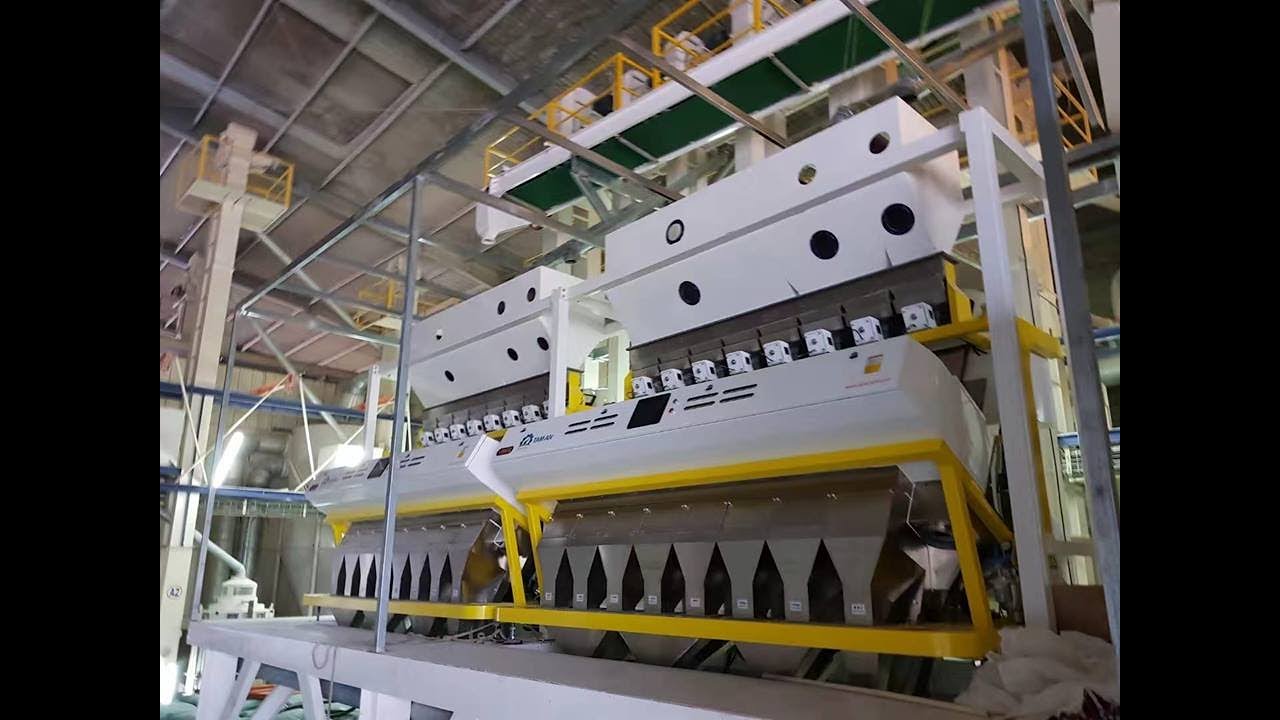 Coffee Beans Color Sorter Machine - YouTube